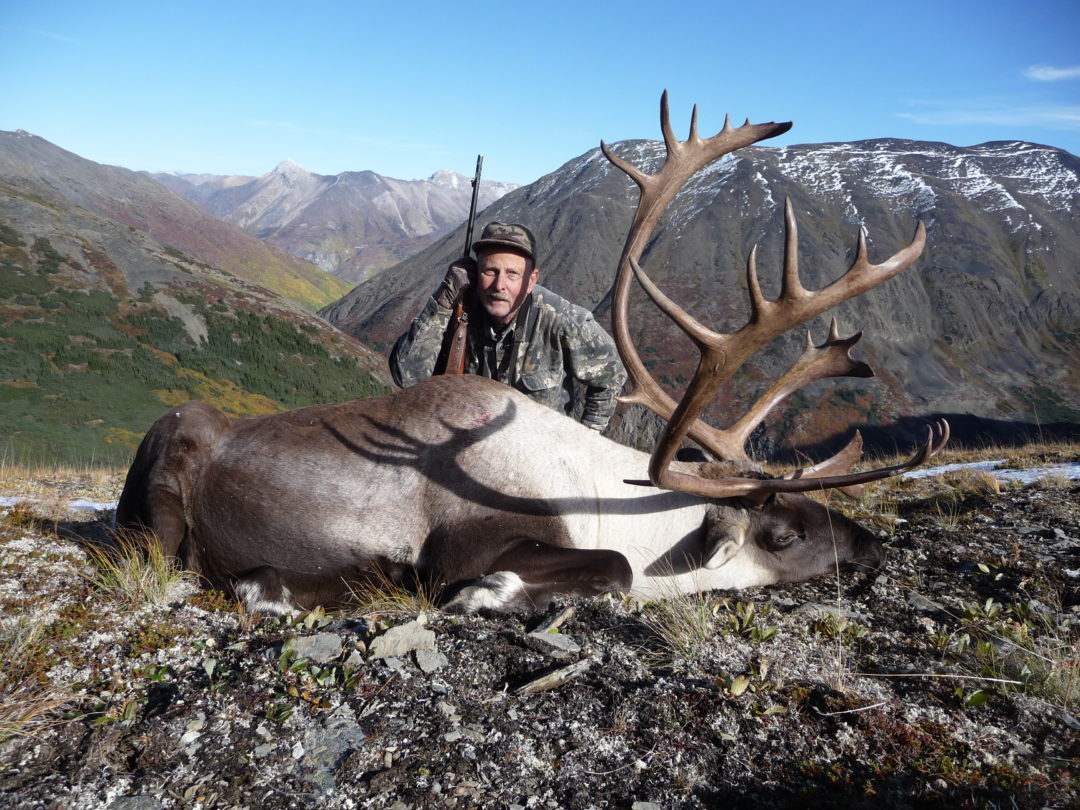 Mountain Caribou & Elk | Folding Mountain Outfitters